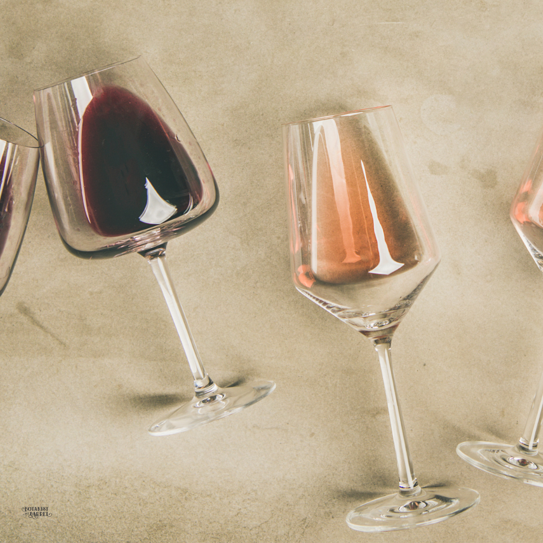 Friday Night Wine Tasting | Botanist & Barrel Asheville